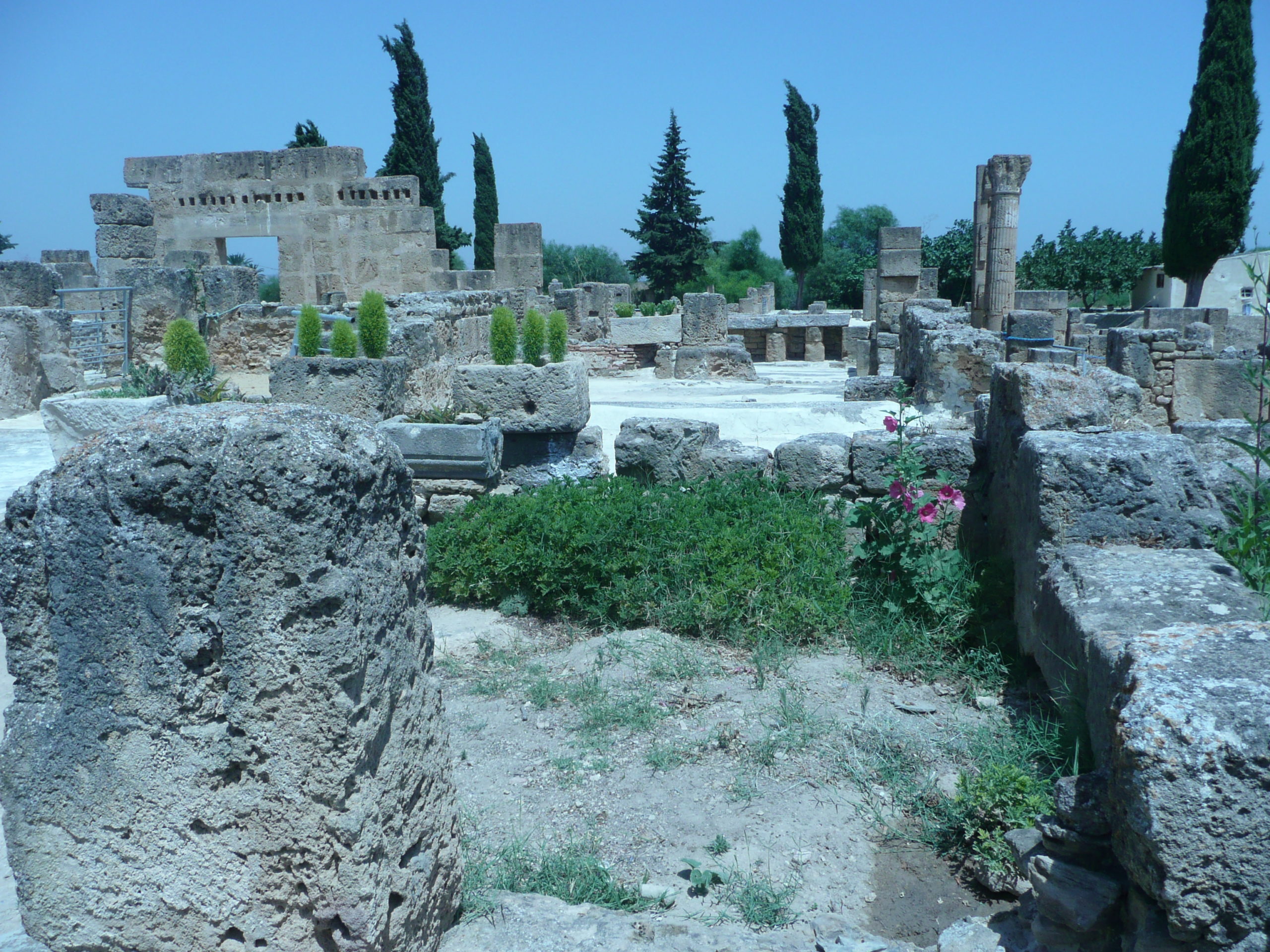 Les ruines antiques d’Utique – Sounine'Apparts