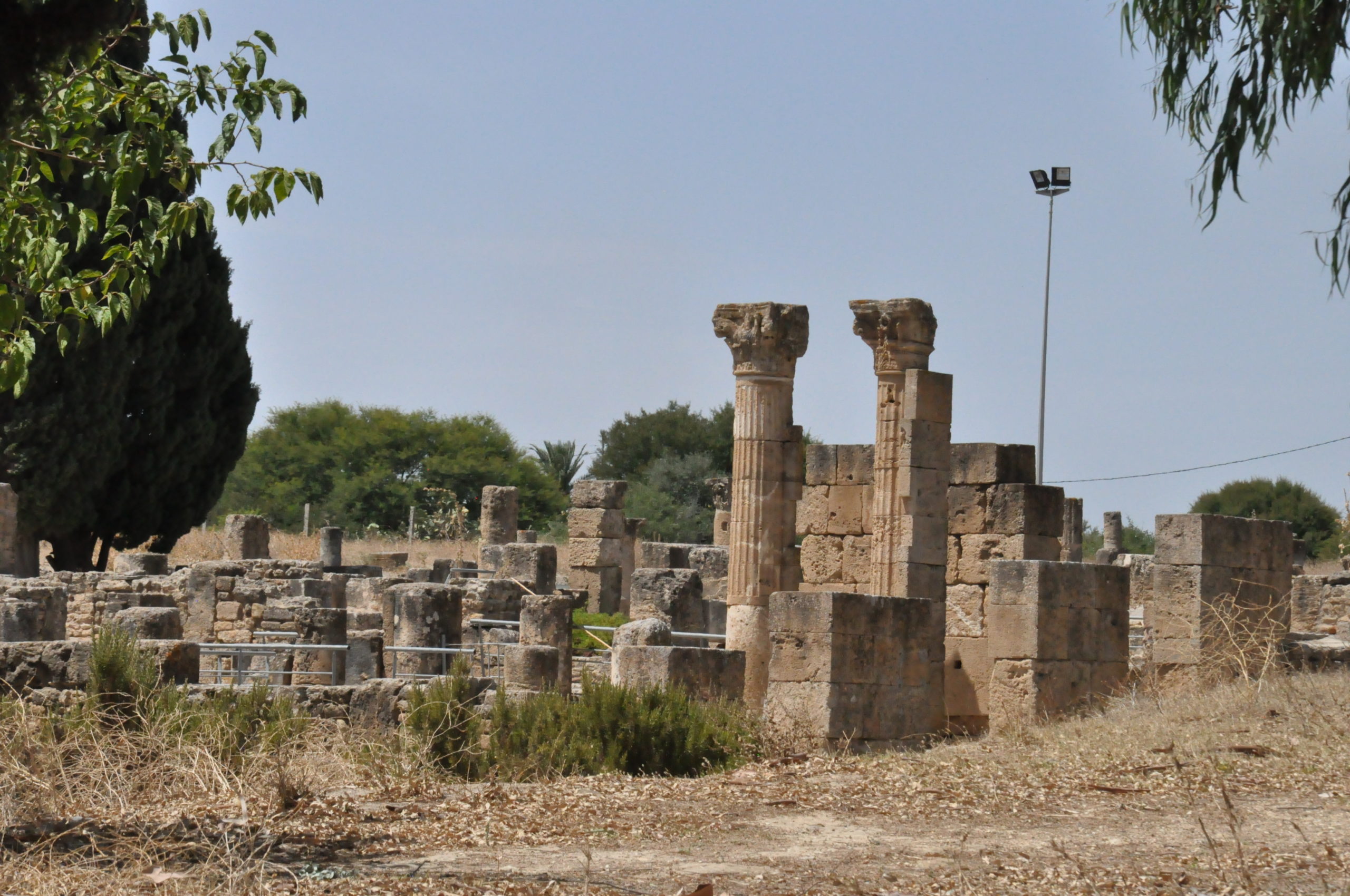 Les ruines antiques d’Utique – Sounine'Apparts
