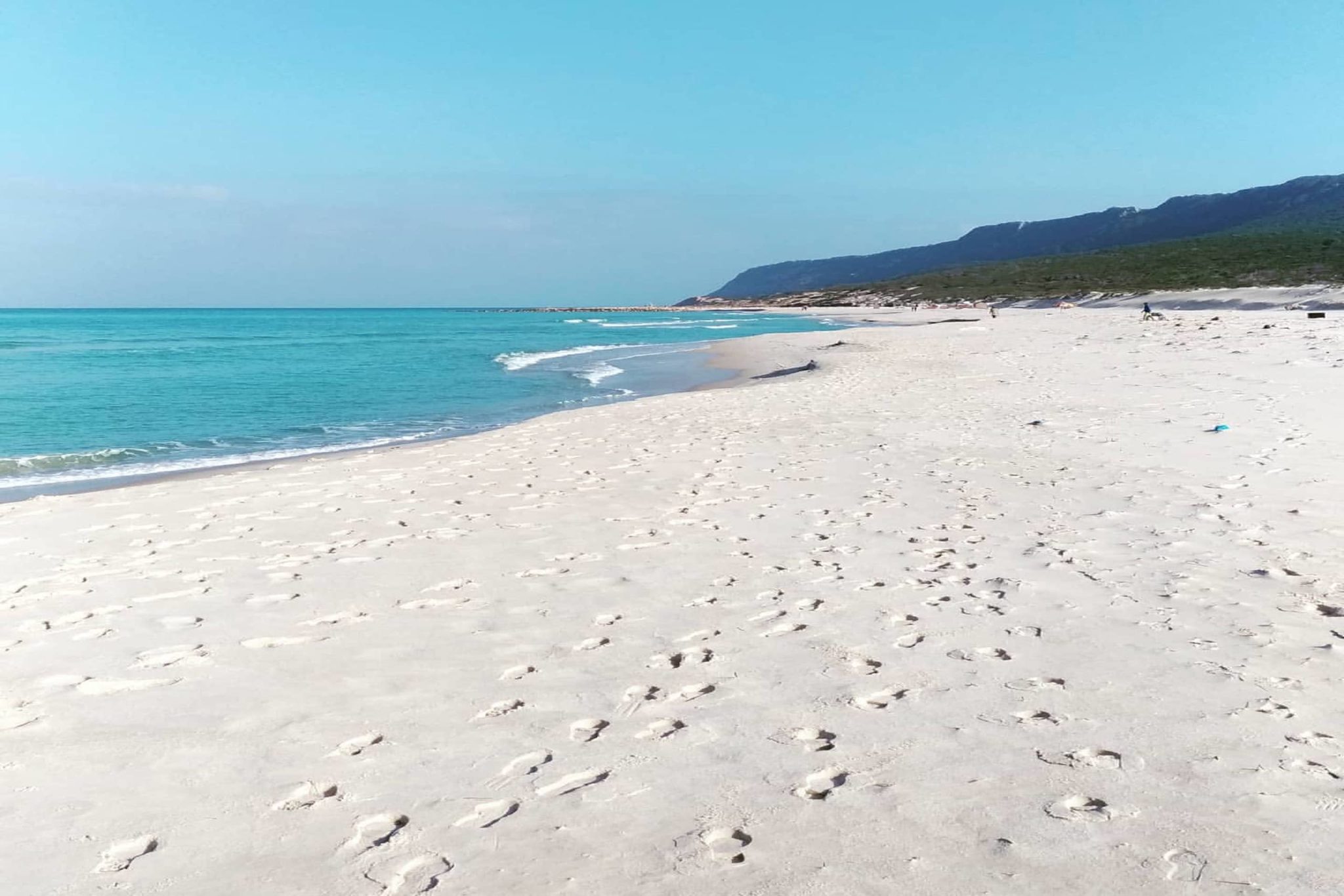 Ras Jebel – Sounine'Apparts